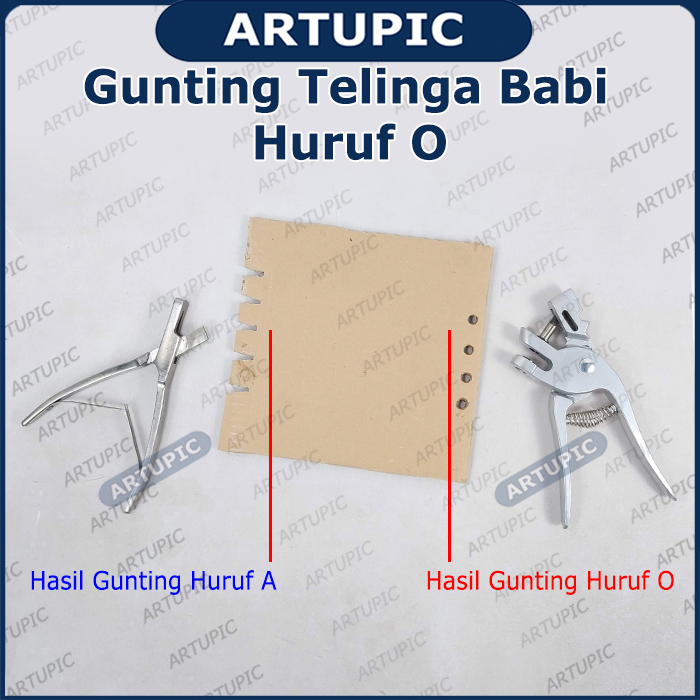 Gunting Telinga Kuping Babi Huruf A Import dari ARTUPIC